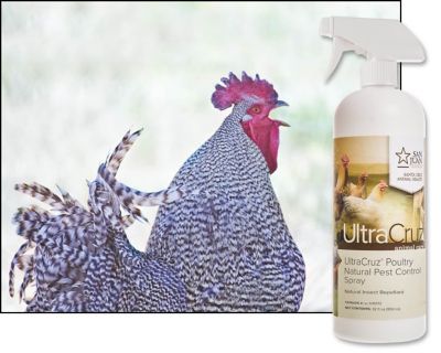 UltraCruz Poultry Natural Pest Control Fly Spray for Chickens, 32 oz ...