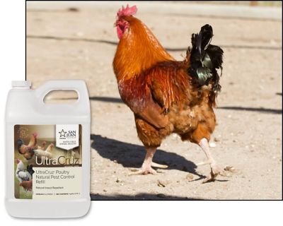 UltraCruz Poultry Natural Pest Control Fly Spray for Chickens, 1 gal ...