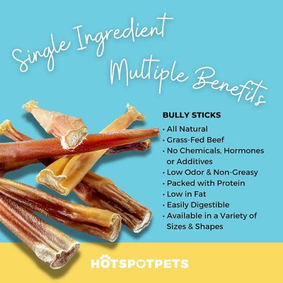 Hotspot Pets Super Slim Premium Bully Sticks Dog Chew Treats, 50 ct. at ...