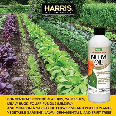 Harris 12 oz. Organic 100% Cold Pressed Neem Oil For Plants, 2-Pack at ...