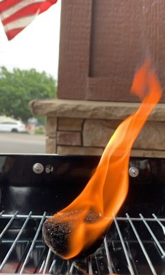 Lightning Nugget Fire Starter, 4-Pack at Tractor Supply Co.