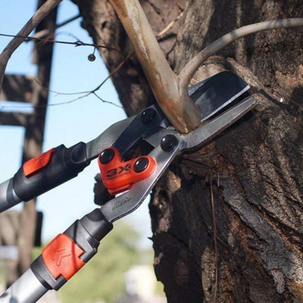 Gardening | Tractor Supply Co.