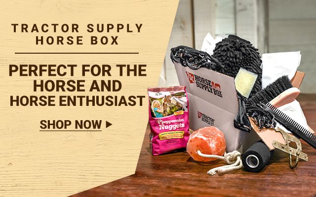 Horse Essentials | Tractor Supply Co.