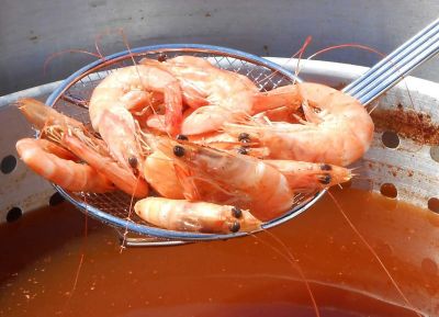 King Kooker 54,000 BTU Coastal Outdoor Boiling Cooker Package at ...