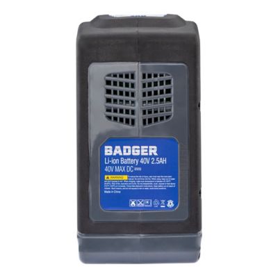 Wild Badger Power 40V 4.0 Ah Lithium-Ion Battery at Tractor Supply Co.