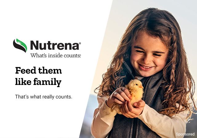 Shop for Nutrena At Tractor Supply Co.