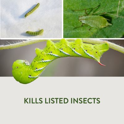 Garden Safe Multi-Purpose Garden Insect Killer 2