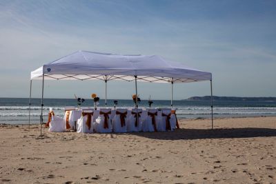 Z-Shade 20 ft. x 10 ft. Everest Instant Canopy at Tractor Supply Co.