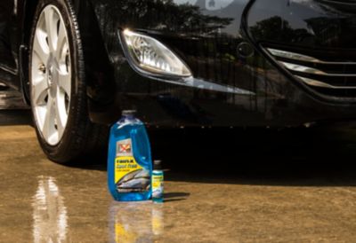 Rain-X 48 oz. Spot-Free Car Wash at Tractor Supply Co.