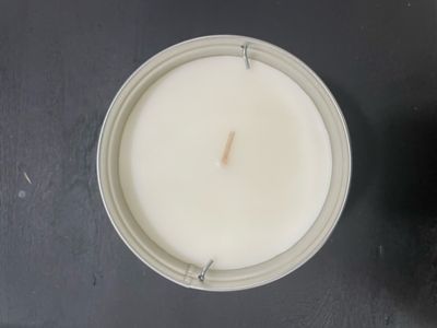 BullFrog 17 oz. Citro Candle at Tractor Supply Co.