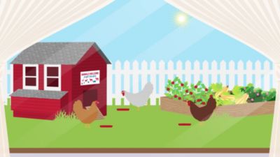 Purina Layena+ High Protein Layer Pelleted Chicken Feed at Tractor ...