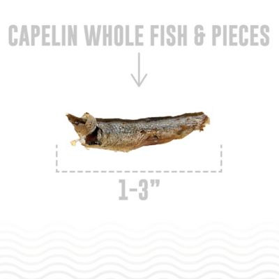 Icelandic+ Capelin Whole Fish and Pieces Dog Treats, 2.5 oz. at Tractor ...