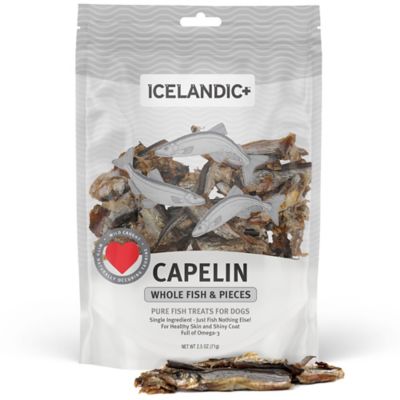 Icelandic+ Capelin Whole Fish and Pieces Dog Treats, 2.5 oz. at Tractor ...