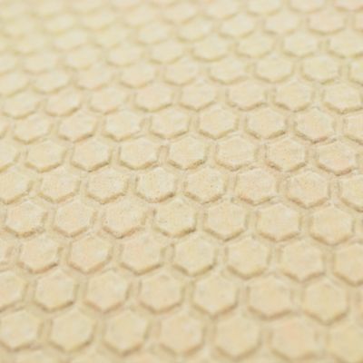 Fanmats New England Patriots Nylon Rug, 5 ft. x 8 ft. at Tractor Supply Co