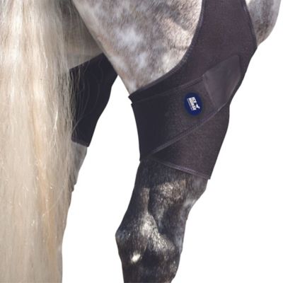 Ice Horse Stifle Wrap - Pair - 2088055 at Tractor Supply Co.