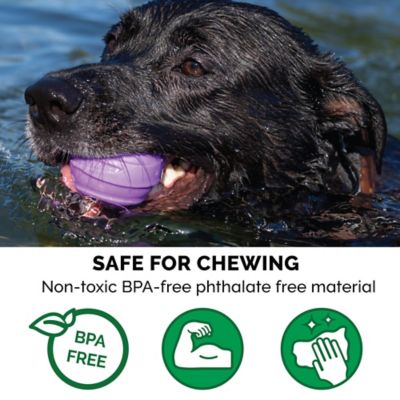 FurHaven Fetch N Fun TPR Ball with Squeaker (3 Pack) at Tractor Supply Co.