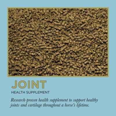 ProElite Pelleted Horse Joint Supplement, 3 lb. at Tractor Supply Co.