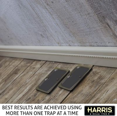 Harris Rat Glue Traps, Fully Disposable (2 pk., 4 Traps Total) at ...