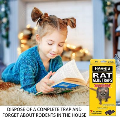 Harris Rat Glue Traps, Fully Disposable (2 pk., 4 Traps Total) at ...