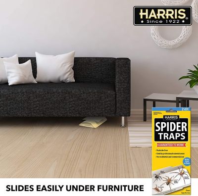 Harris Spider Glue Traps, Pesticide Free, Kills Brown Recluse, Hobo ...