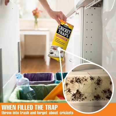 Harris Cricket Glue Traps, 3-Pack, 6 Traps Total at Tractor Supply Co.