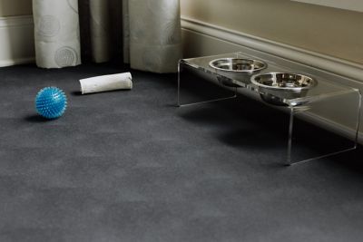 G-Floor 55 Mil Levant Vinyl Pet Floor Protector, Sandstone at Tractor ...