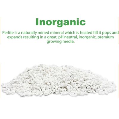 Viagrow Horticultural Perlite, 4 cu. ft. Bag, 2-Pack at Tractor Supply Co.