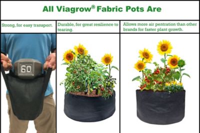 Viagrow 45 gal. Fabric Aeration Grow Bags with Handles, 2-Pack at Tractor Supply Co.