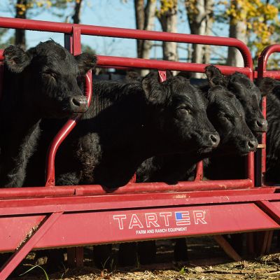 10 ft. Tarter Cattle Fence Line Feeder Panels at Tractor Supply Co.