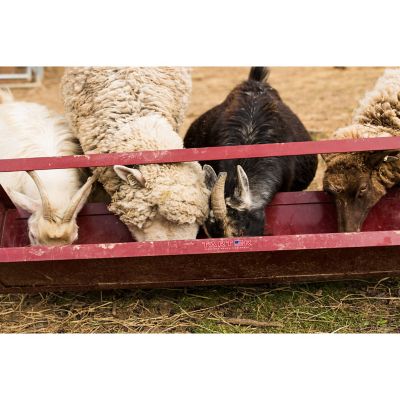 Tarter 4 ft. Goat Trough Feeder at Tractor Supply Co.