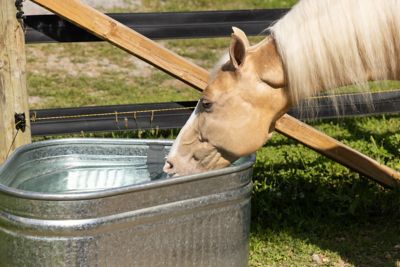 Behlen Country Galvanized Triangle Tank at Tractor Supply Co