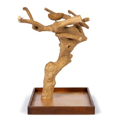 Prevue Pet Products Coffeawood Tree Mini Table Top Bird Tree Stand ...