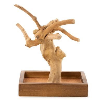 Prevue Pet Products Coffeawood Tree Mini Table Top Bird Tree Stand ...