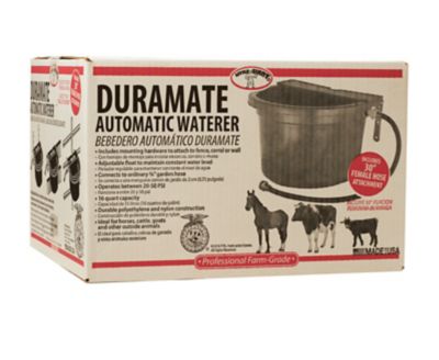 Little Giant 4 gal. DuraMate Polyethylene Automatic Livestock Waterer ...