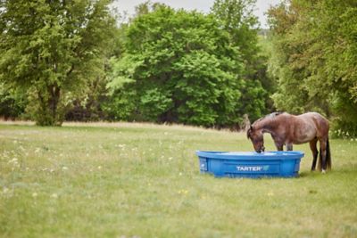 Tarter 625 gal. 8 ft. Round Poly Stock Tank at Tractor Supply Co