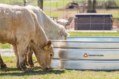 CountyLine 3 ft. x 8 ft. x 2 ft. Oval Galvanized Stock Tank, 300 gal ...