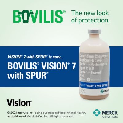 Merck Animal Health Bovilis Vision 7 Vaccine with Spur for Cattle and ...