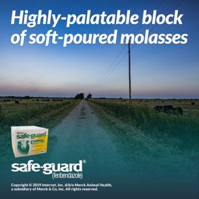 Safe-Guard Medicated Cattle Dewormer En-Pro-Al Molasses Block, 25 lb ...