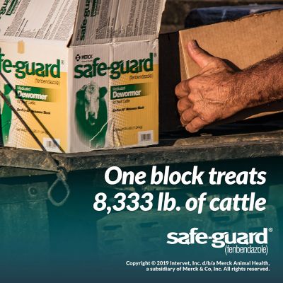 Merck Safe-Guard Medicated Cattle Dewormer En-Pro-Al Molasses Block, 25 ...