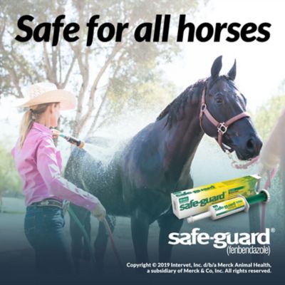 Merck Safe-Guard Horse and Cattle Dewormer Paste, 92g at Tractor Supply Co.