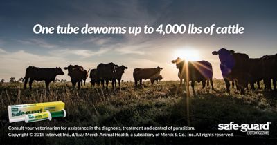 Merck Safe-Guard Horse and Cattle Dewormer Paste, 92g at Tractor Supply Co.