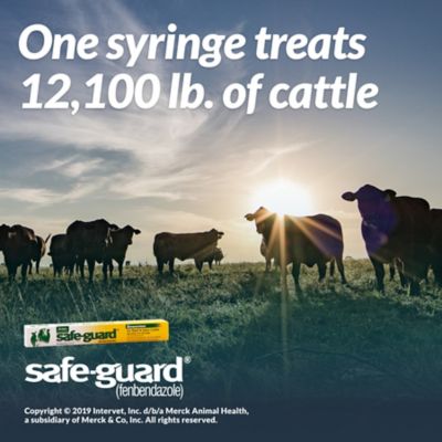 Merck Animal Health Safe-Guard Cattle Dewormer, 290g Paste at Tractor ...