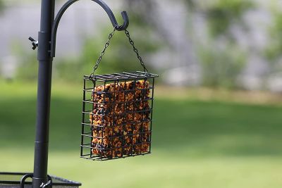 Ashman Premium Bird Feeding Station Kit, A Multi Bird Feeder Hanging ...