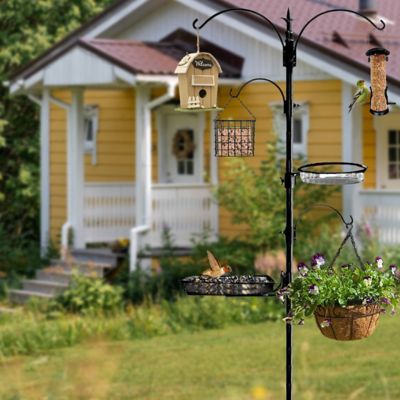 Ashman Premium Bird Feeding Station Kit, A Multi Bird Feeder Hanging ...