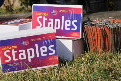 Ashman Sod Staples Galvanized Garden Stakes Landscape Staples 100 Pack ...