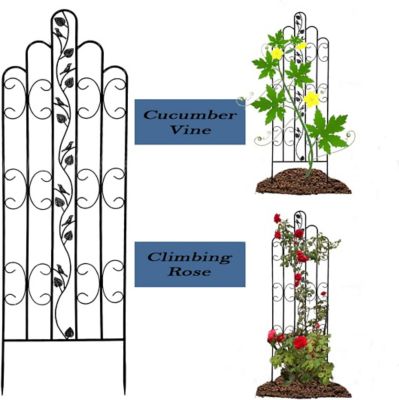 Ashman Trellis Heavy Duty Standard Design (1 Pack) for Garden, Climbing Plants and Vines, Great ...
