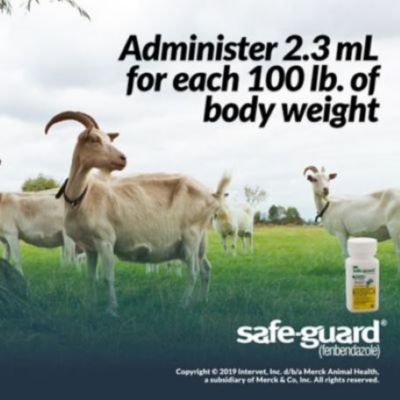 Merck Safe-Guard Goat Dewormer, 125 mL at Tractor Supply Co.