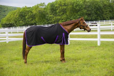 TuffRider Kozy Komfort Stable Sheet, 72 in.,Black at Tractor Supply Co