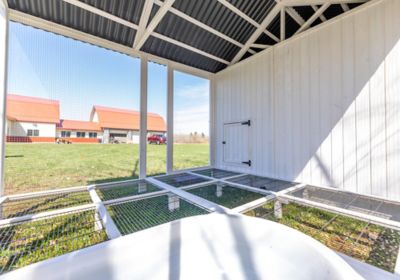 Zylina Modern Duck Barn, 15 Duck Capacity at Tractor Supply Co.