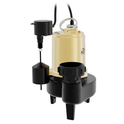 K2 Pumps 1/2 HP Cast Iron Sewage Pump with Piggyback Vertical Switch ...